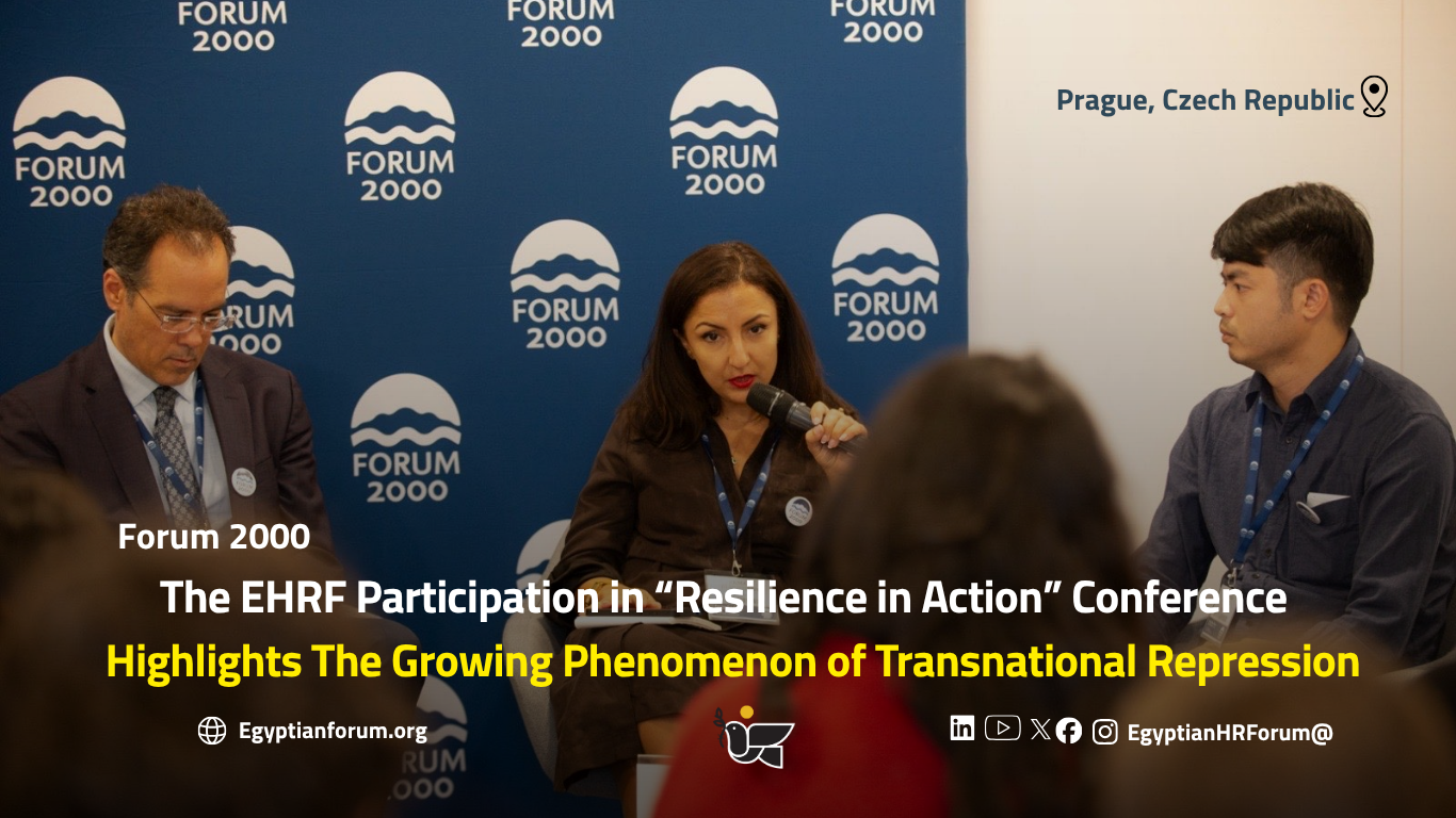 The Egyptian Human Rights Forum Participates in Forum 2000: Networked ...